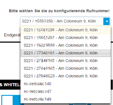 Zugangsdaten für die Telefonie in Ihrem persönlichen Kundenportal.